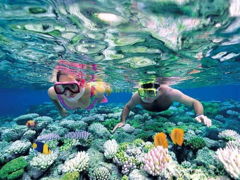 From Nha Trang: 3-Island Deluxe Tour with Lunch - Practical Considerations