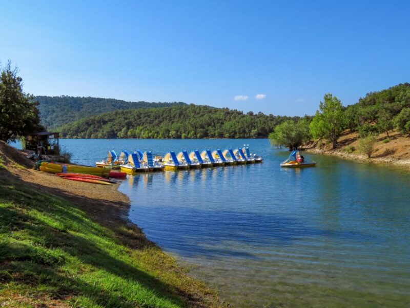 From Nice: Flower Fields & Saint Cassien Lake Full-Day Trip - Who Should Consider This Tour?