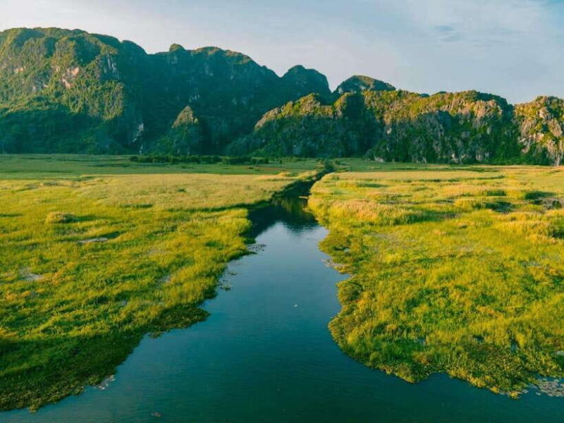 From Ninh Binh: Cuc Phuong National Park 1-Day Small Group - Exploring Cuc Phuong National Park
