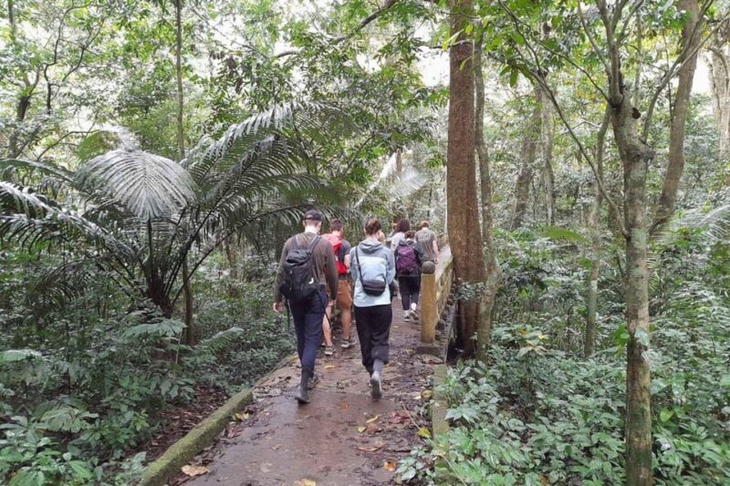 From Ninh Binh: Cuc Phuong National Park Guided Tour & Lunch - Key Points