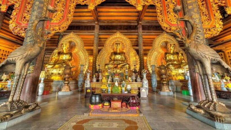 From Ninh Binh : Full Day - Bai Dinh, Trang An, Mua Cave - Why This Tour Offers Good Value