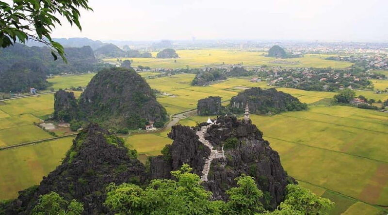 From Ninh Binh : Hoa Lu, Trang An, and Mua Cave Day Tour - The Climb to Mua Cave: Views and Exercise Combined
