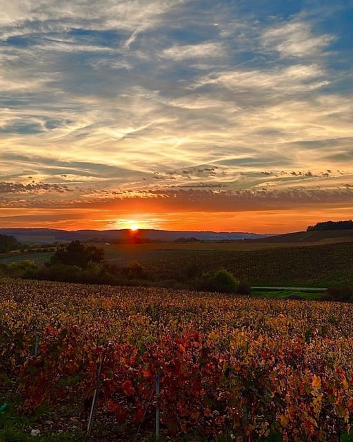 From Paris: Champagne, gastronomy and culture - The Sum Up: A Well-Rounded, Authentic Champagne Getaway