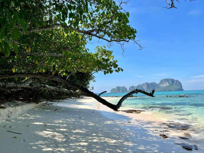 From Phi Phi: Full Day 7 Island Tour by Longtail with Sunset - Practical Details and What to Expect