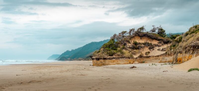 From Portland: Oregon Coast Day Trip Cannon Beach Area - What Makes This Tour Stand Out?