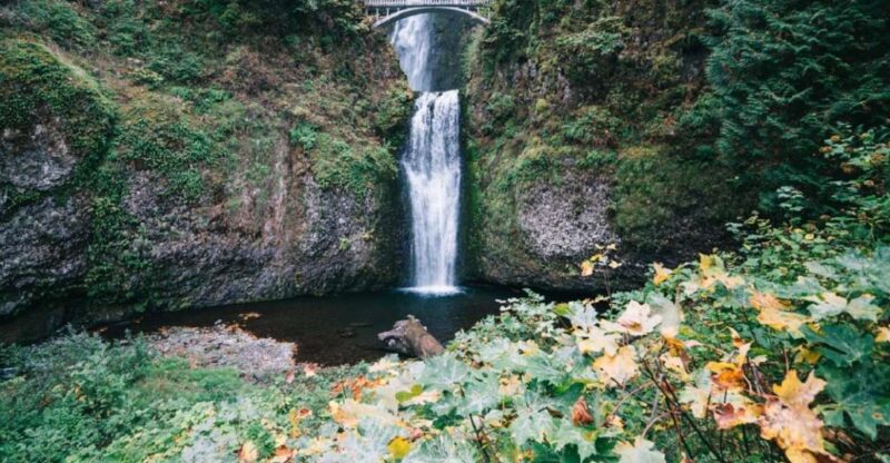 From Portland: Waterfalls, Mt Hood, and Wine Day Tour - Scenic Drive and Waterfall Highlights
