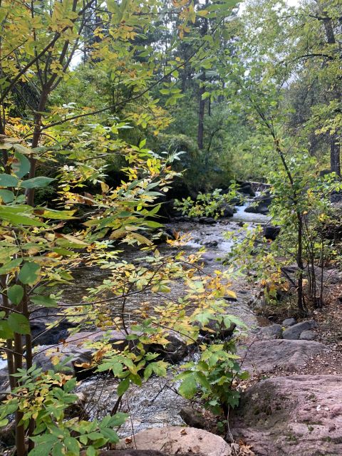 From Rapid City: Private Spearfish Canyon Tour - The Value of a Private Group Tour