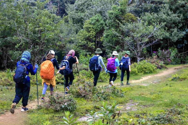 From Sapa: Fansipang Mountain Hike 1 Day - What’s Included and What to Expect