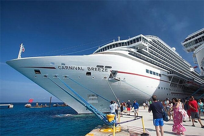 From Semarang port: Borobudur Temple excursion - Cruise Ship Traveler - What Makes This Tour Stand Out?