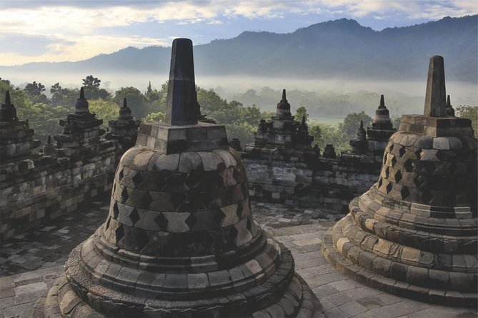 From Semarang Port: Borobudur Temple Private Shore Excursion - What the Reviews Tell Us