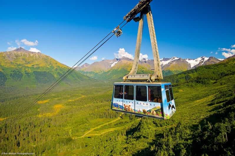 From Seward or Whittier: Guided Craft Tour and Ship Transfer - The Experience: What Travelers Can Expect