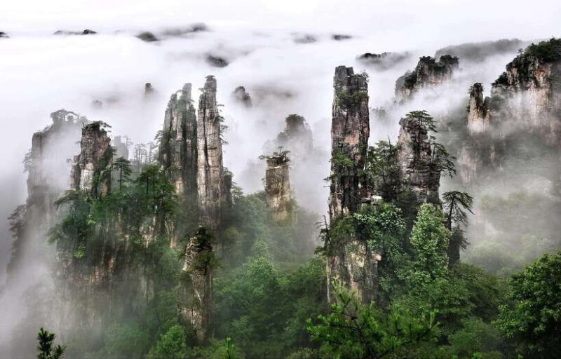 From Shanghai: 10-Day Tour to Chongqing, Zhangjiajie & More - What the Tour Includes and What It Doesn’t