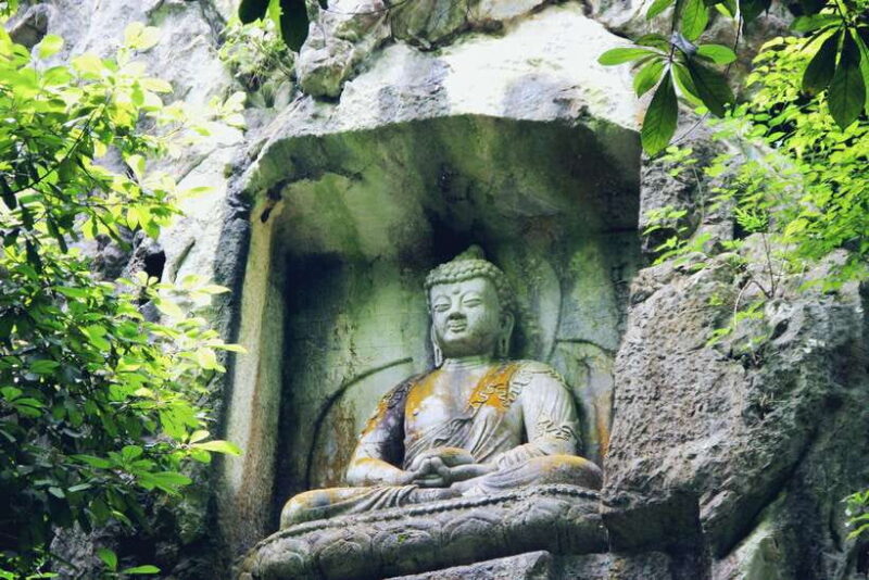 From Shanghai: Hangzhou Private Day Tour by Bullet Train - Transportation and Logistics: What Travelers Should Know