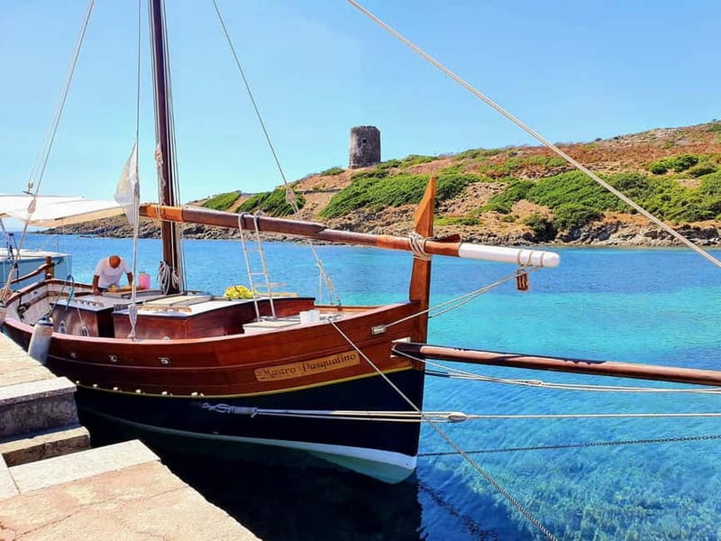 From Stintino: sailing trip to Asinara with Lunch - The Itinerary: What’s in Store