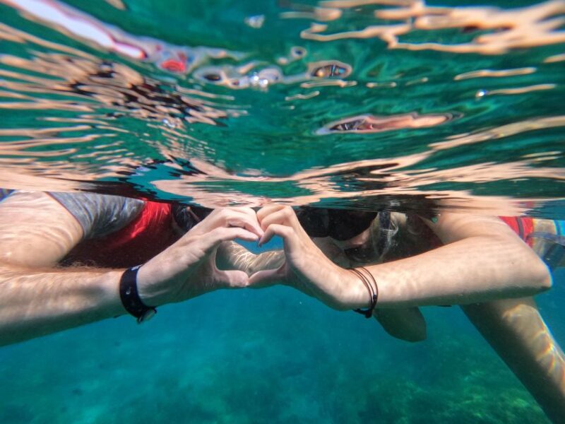Fuerteventura: Guided Snorkeling in La Lajita with Pickup - Who Should Consider This Snorkeling Tour