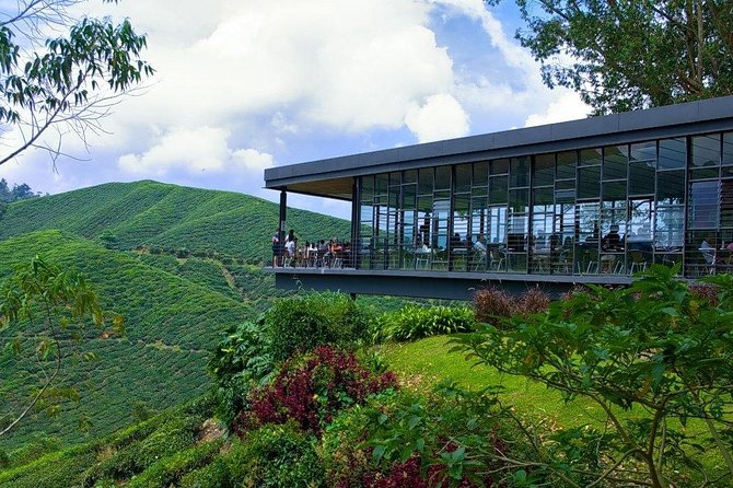 Full Day Cameron Highlands Nature Tour - Practical Details and What They Mean for You