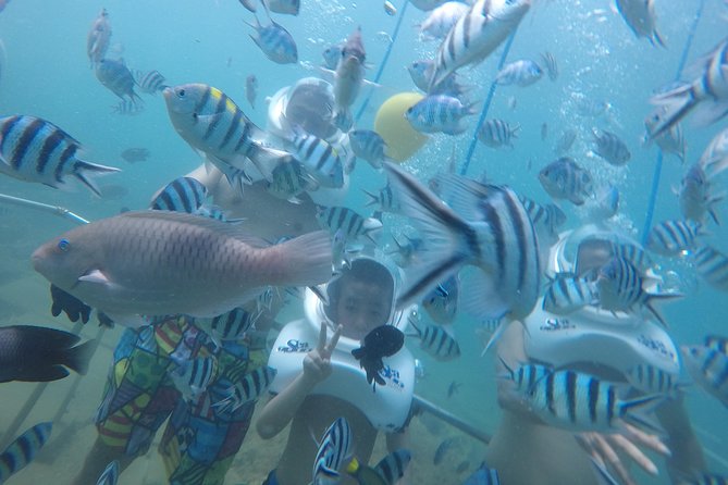 Full-day Cham Islands Cruise from Hoi An with Underwater Walking Excursion - Who Is This Tour Best For?