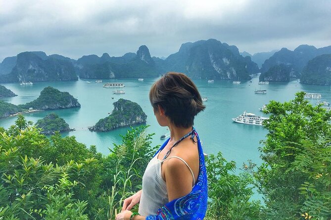 Full Day Halong Bay Tour From Hanoi - What Travelers Are Saying
