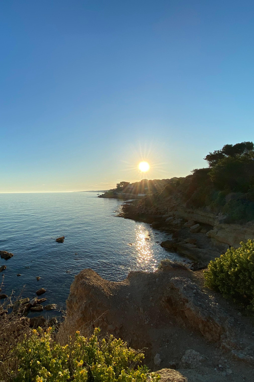 Full Day in Côte Bleue: Scenic Nature Walk and Boat Tour - Who Is This Tour Best For?