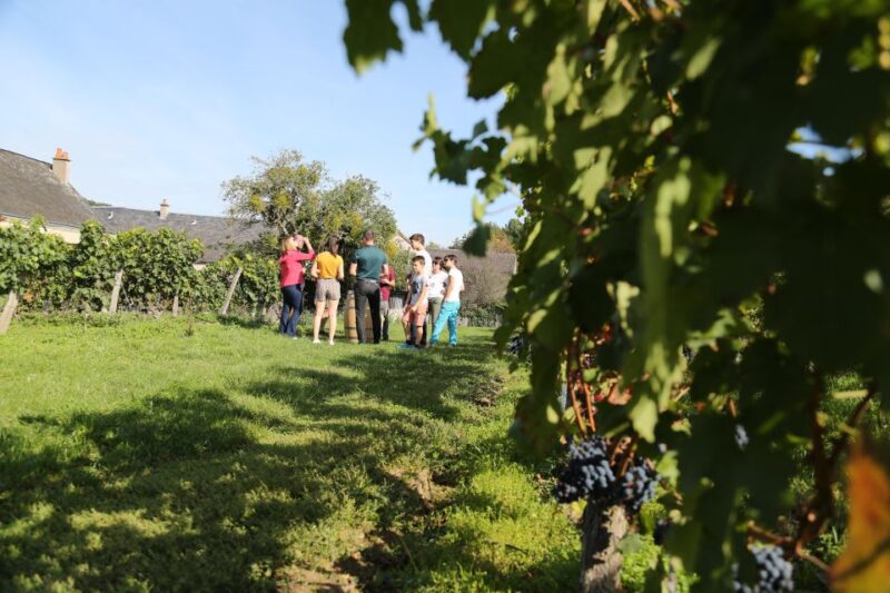 Full Day Loire Valley Wine Tour with lunch: Vouvray & Chinon - Who Will Love This Tour?