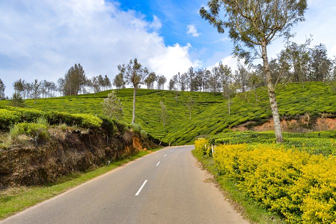 Full-Day Private Tour to Munnar from Kochi with Lunch - What Travelers Say: Real Feedback