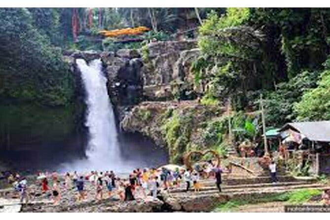 Full day Ubud and Tanah Lot tour - Final Thoughts: Who Will Love This Tour?