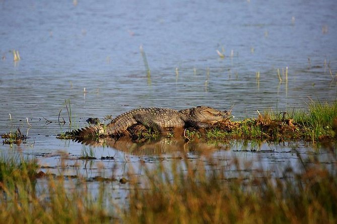 Full Day Wilpaththu National Park Safari (All Inclusive) - Exploring Wilpattu: A Detailed Look at the Tour