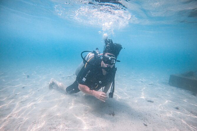 Fun Dives For Certified Divers - What the Reviews Say