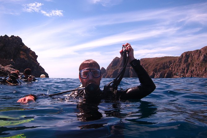 Fun Dives - Guided Dives for Certified Divers - What The Reviews Say