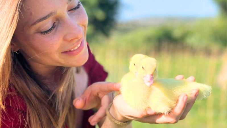 Gallura: Picnic on a Farm with Animals - The Value of a Short but Authentic Experience