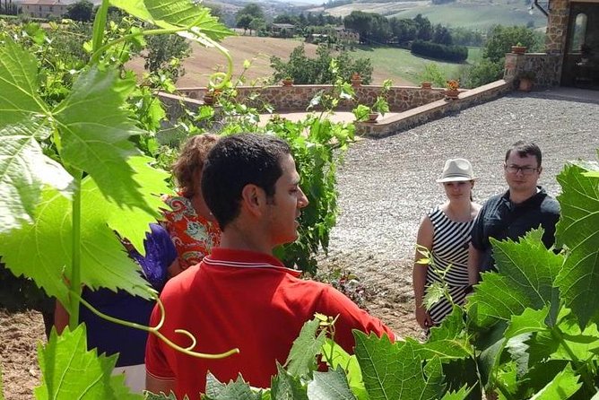Gourmet Wine Tour - The Authentic Tuscan Lunch