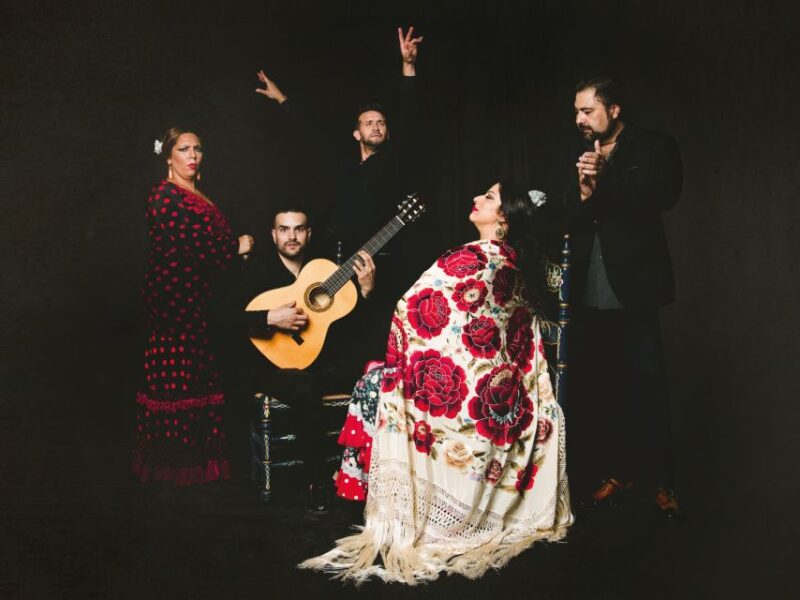 Granada: Traditional Flamenco Show at Tablao Casa Ana - An Authentic Flamenco Night in Granada