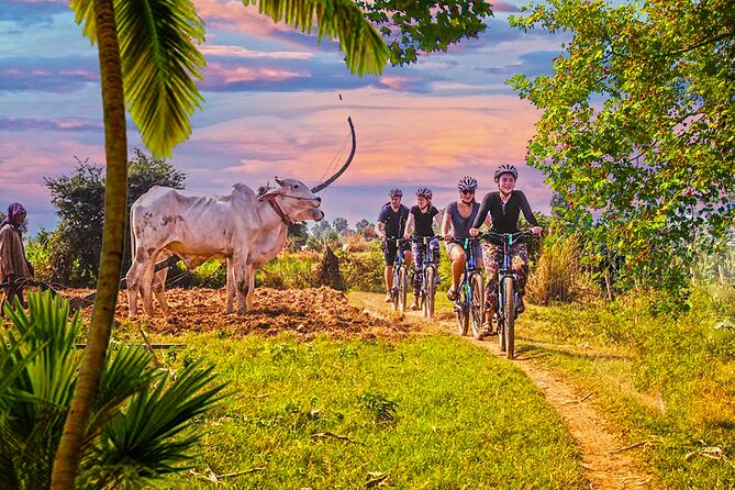 Grand Tour-Ek Phnom. Baset. Bamboo Train. Wat Banan. Phnom Sampov - Authenticity and Local Flavor