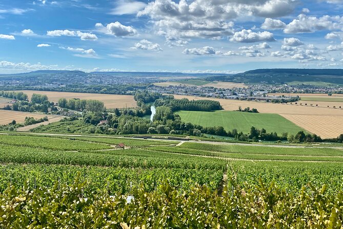 GRAND VINTAGE Moet et Chandon Veuve Clicquot Cellars & Tastings - What Reviewers Say