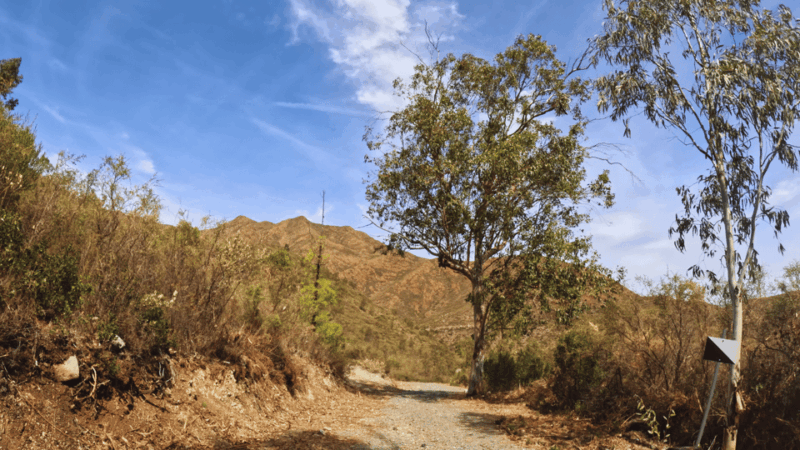 Guided Buggy Tour Mijas - What Could Be Better