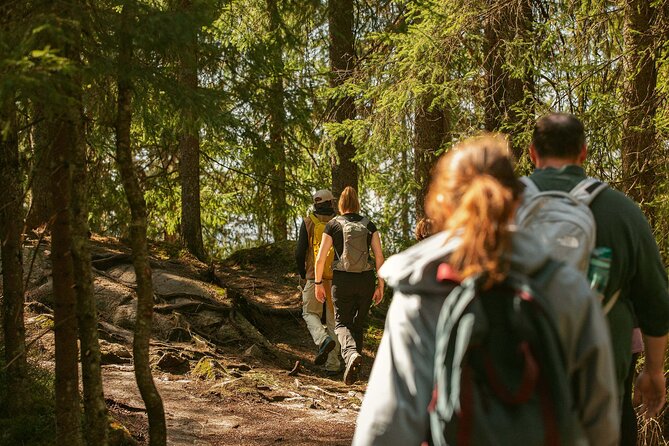 Guided Group Spectacular Holmenkollen Walk - Who Will Love This Tour?