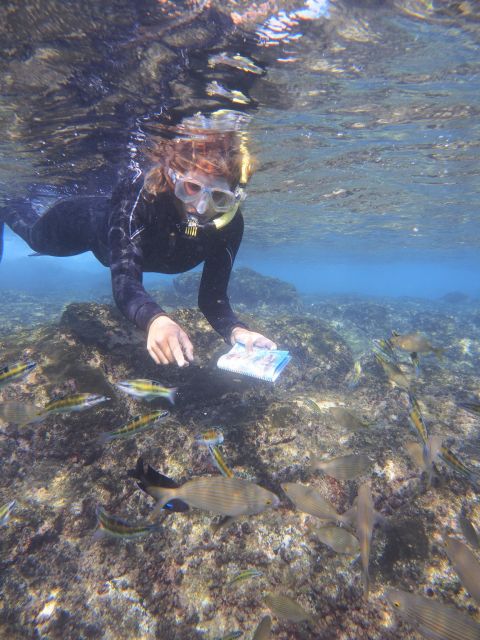 Guided Snorkeling Experience - Detailed Tour Breakdown
