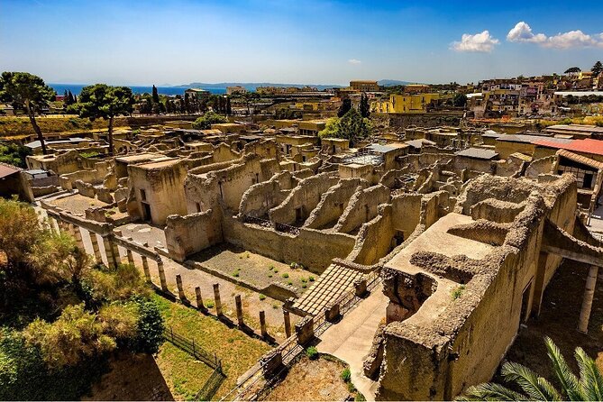 Guided tour of Hercunaleum with light lunch and entrance ticket - Exploring the Ruins: What You Can Expect