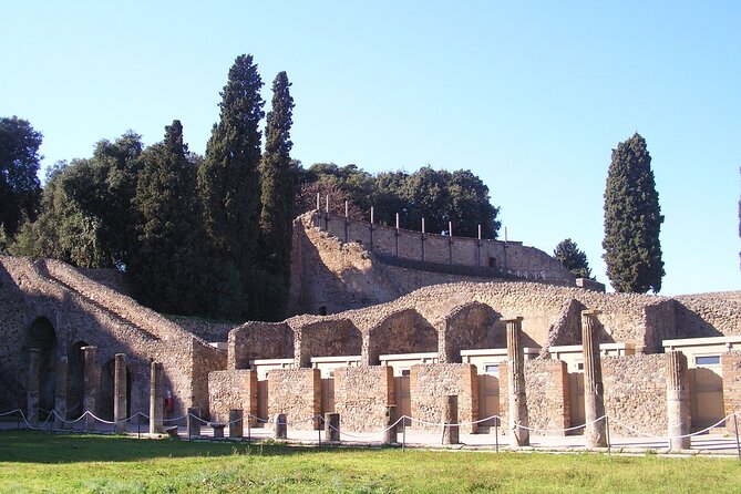 Guided Visit of Pompei and Mount Vesuvius Tour with Pizza Lunch - A Closer Look at the Itinerary