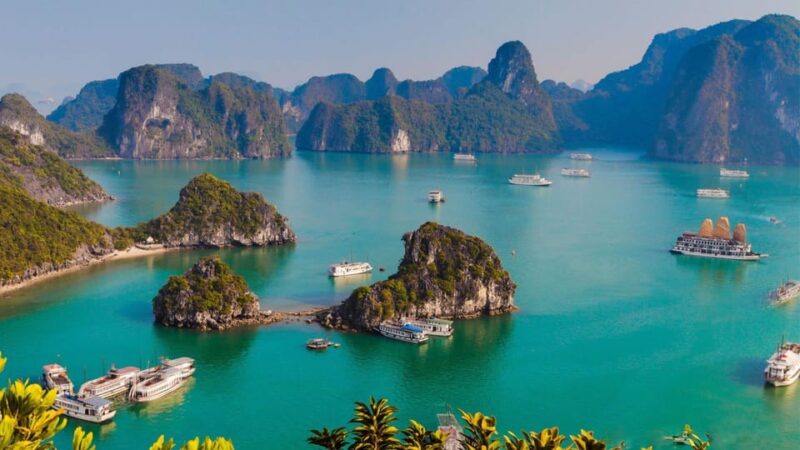Ha Long 1 Day Luxury Small Group & Kayaking - Highlights of the Tour