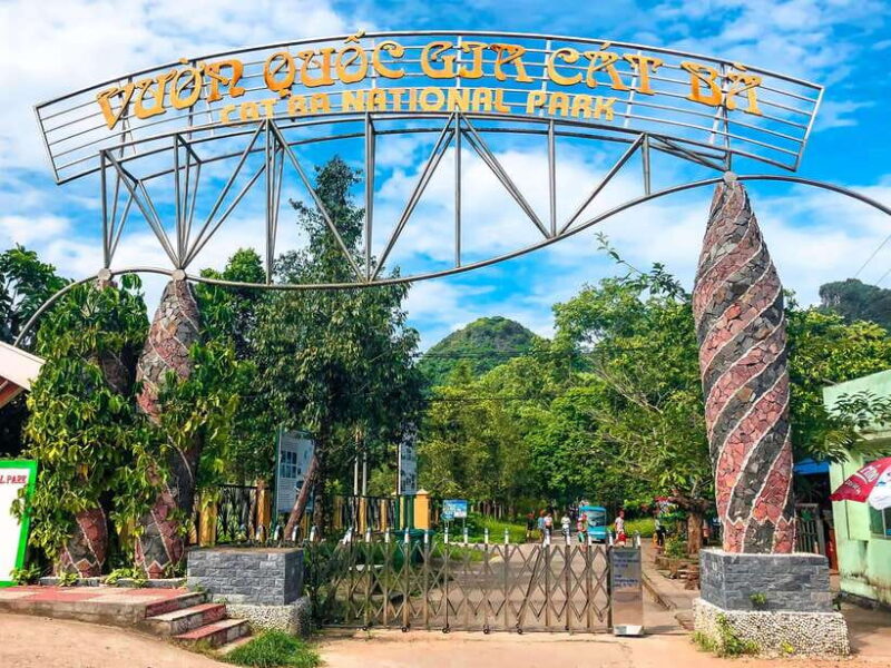 Ha Noi, Cat Ba, HaLong Bay Cruise, Ninh Binh Day Tour 4D/3N - Practical Considerations and Value