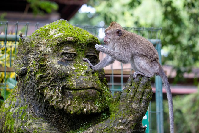 Half Day Ubud Tour: Ubud Unique Spots - Detailed Breakdown of the Itinerary