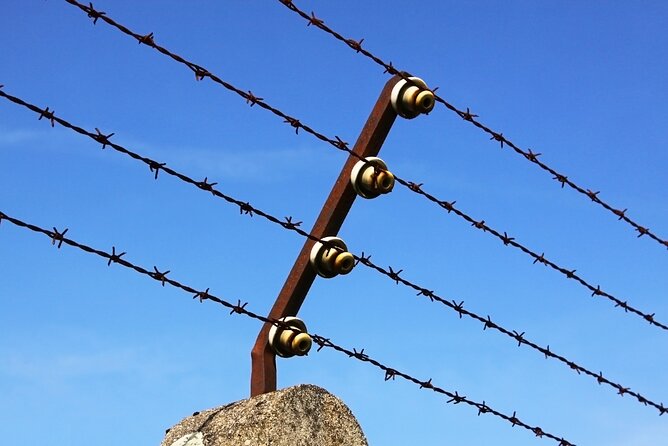 Hamburg City and Neuengamme Concentration Camp Memorial Tour - The Return and Reflection