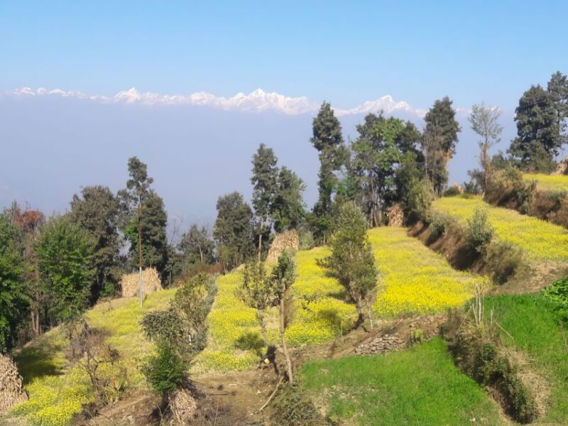 Hattiban - Champadevi: Day Hiking Tour - The Practical Side: Costs, Comfort, and Tips