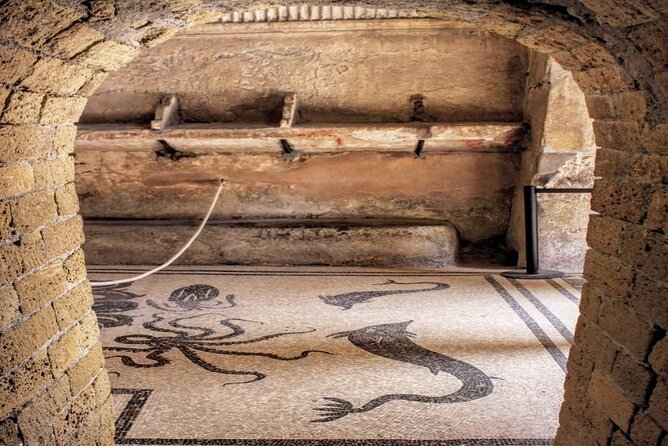 Herculaneum VIP Tour with Lunch from Naples - What This Tour Means for You