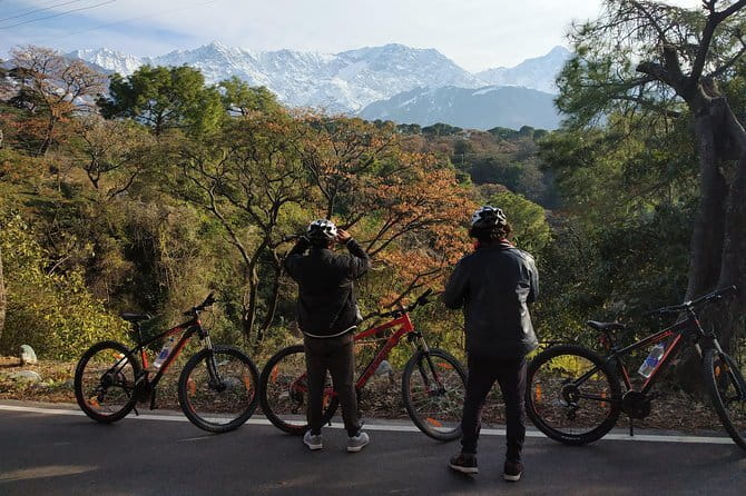 hilloferry - a guided cycling tour - The Value of the Experience