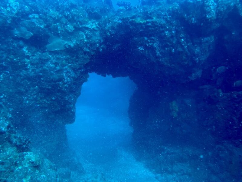 Hilo: Night Dive for Certified Divers - How the Tour Is Structured