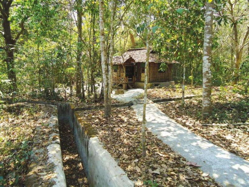 Ho Chi Minh: Cu Chi Tunnels Half-Day - Daily Tour - Analyzing the Tour’s Value