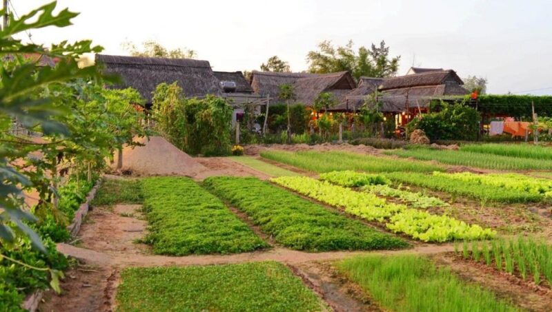 Hoi An: Countryside- Basket Boat & Cooking Class in Tra Que - A Closer Look at the Experience