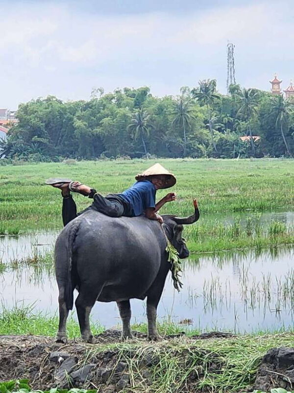 Hoi An: Countryside Villages & River Islands Private Tour - Exploring Hoi Ans Countryside in Style